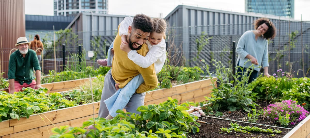 Fidelity International | ISAs, Shares, Funds & Pensions (SIPPs)